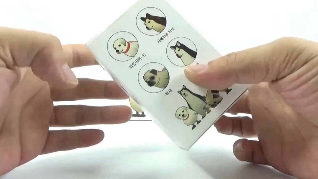 卡通动物玩偶玩具拆箱认识小动物模型