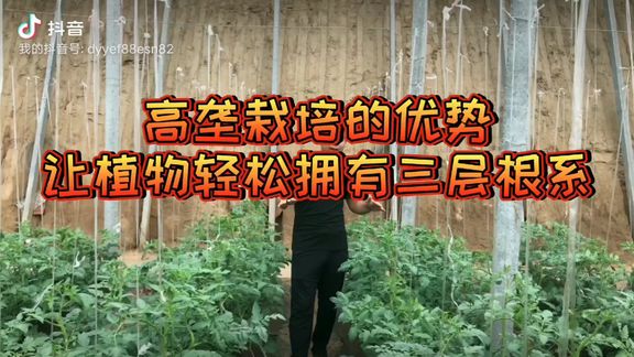 让植物轻松拥有三层根系的新型栽培技术—高垄栽培!你掌握了吗?