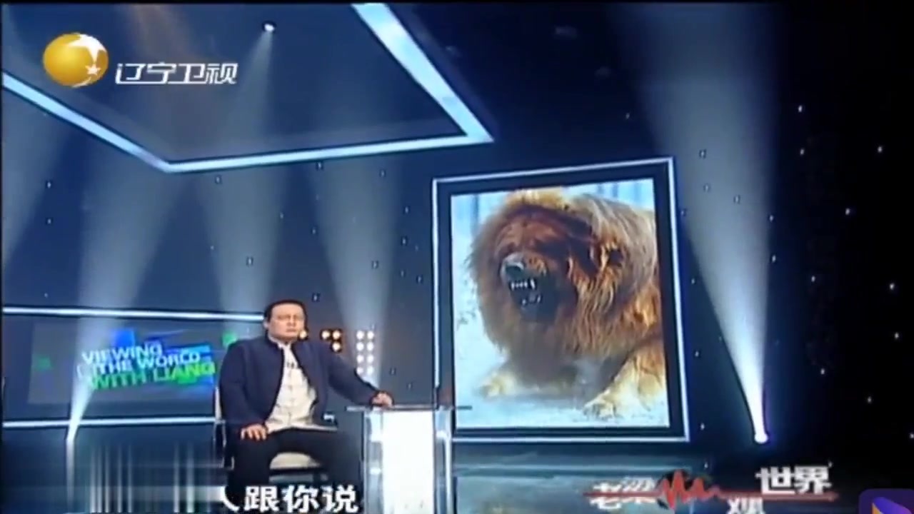 藏獒被人仰慕却屡屡伤人,凶猛传说被质疑丨老梁观世界