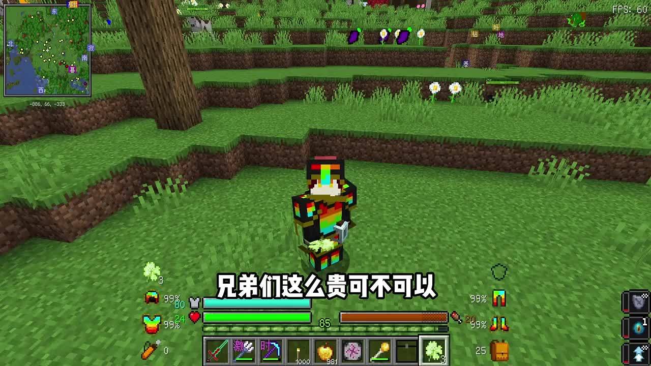 懒人生存23我被作者坑了? #叶枫的日常 #我的世界六一大狂欢