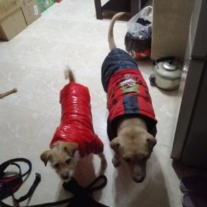 相伴到永久的日常生活 