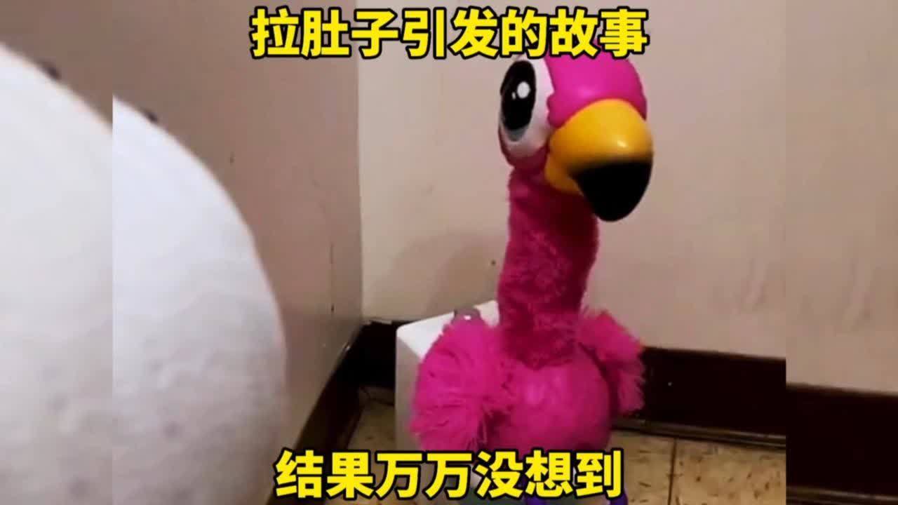 拉肚子引发的故事,结果万万没想到