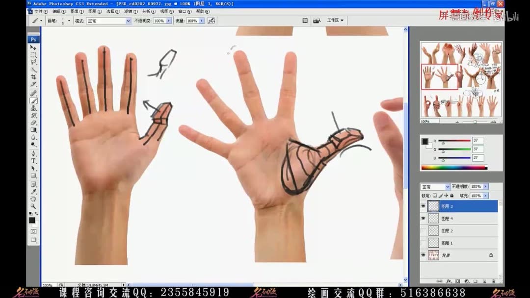 【板绘】告诉你们如何画手和脚,手脚结构经典画法!