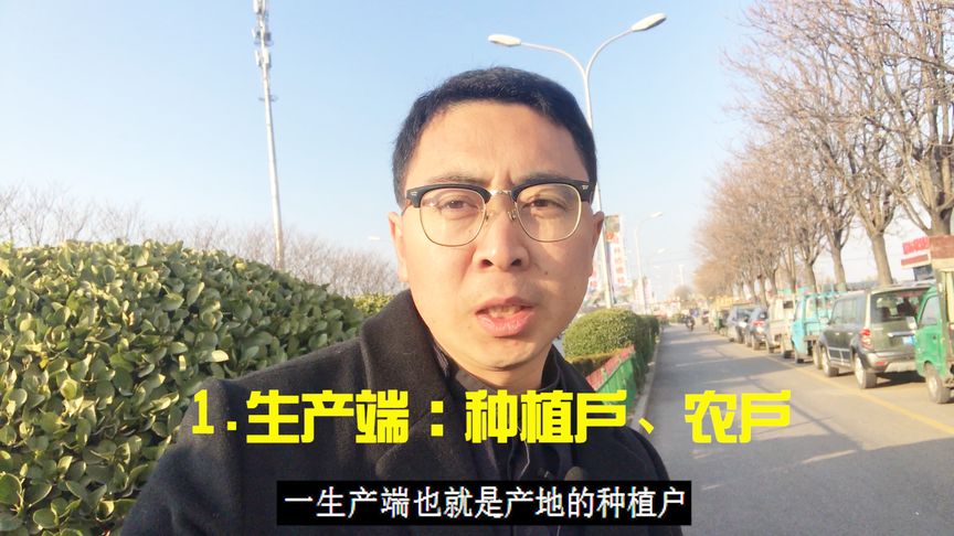 水果行业分为多少个环节?每个环节是什么情况?有哪些创业机会?