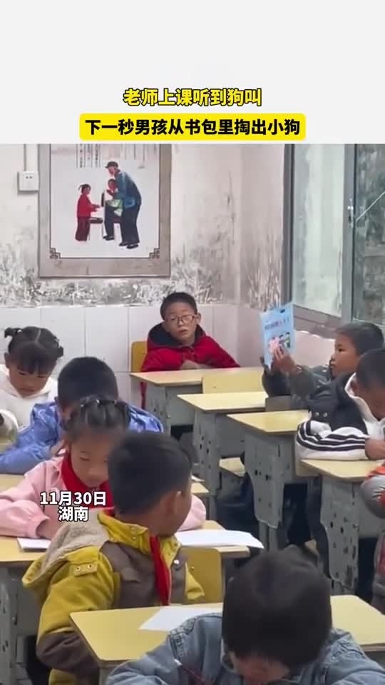 老师上课听到狗叫,下一秒男孩从书包里掏出小狗