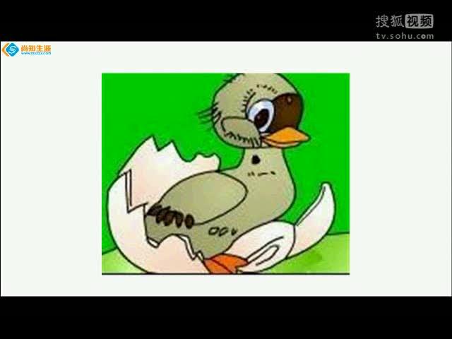 6.职业生涯规划之你是谁?如何了解自我(下)【职业生涯规划】