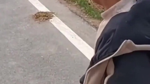 小男孩用无架弹弓打易拉罐弹无虚发 高手在民间!