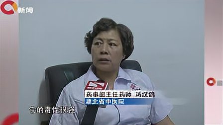 曼陀罗花加入药酒 翁婿同饮双双中毒