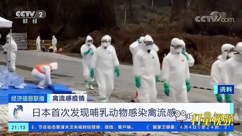 禽流感疫情!日本首次发现哺乳动物感染禽流感|经济信息联播