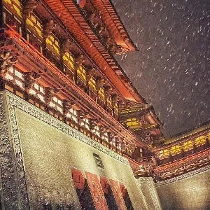 大鱼在洛阳 