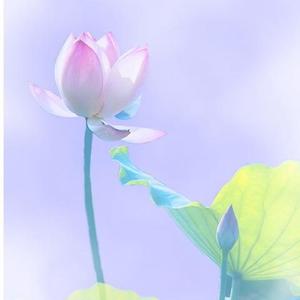 怀柔音乐汇 