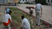 创建绿色学校视频