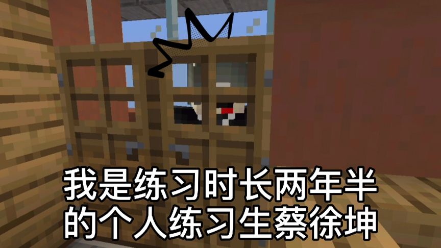 【我的世界搞笑】当精神小伙遇见蔡徐坤