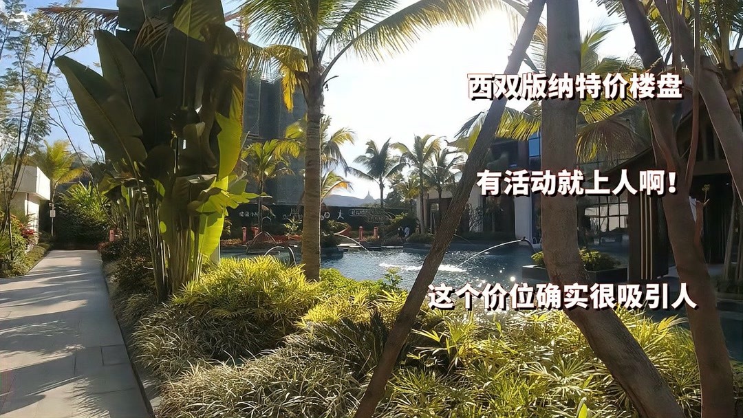 西双版纳特价楼盘,有活动就上人啊!这个价位确实很吸引人