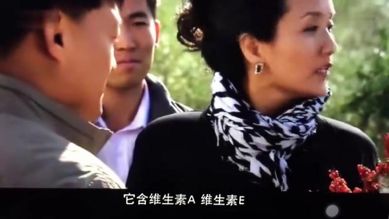 沙棘果强大的功效