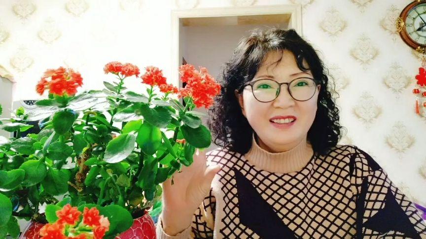 萍聚老师告诉初中家长,如何让初中生在这个假期学会独立自主学习