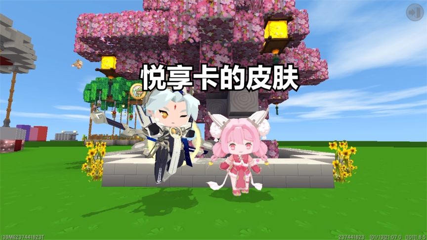 迷你世界:盘点悦享卡的系列皮肤,哪对最好看?