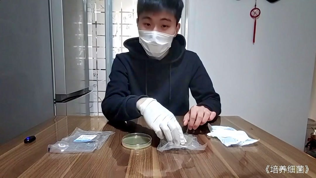 《培养细菌》