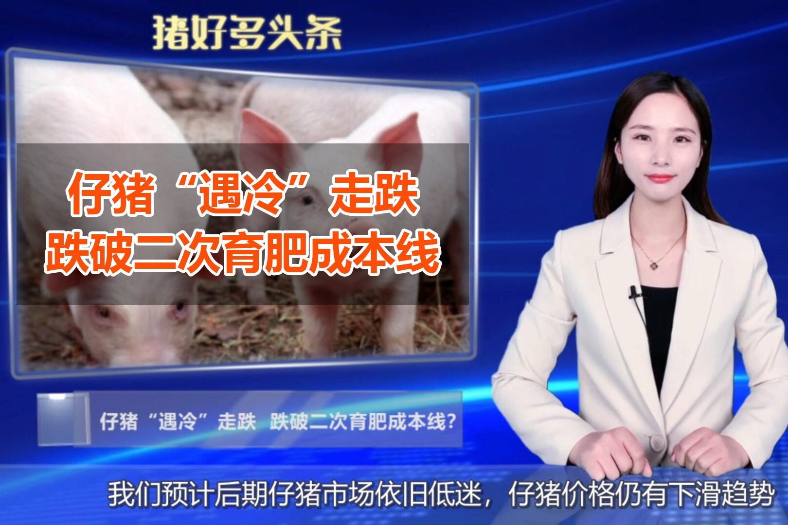 仔猪“遇冷”走跌,跌破二次育肥成本线?专家:外购仔猪需谨慎!
