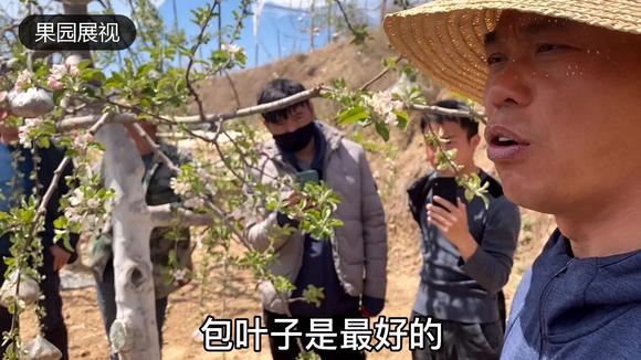 种果树要学会这样数据化管理,把势借上