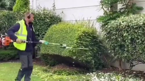 斯蒂尔宽带绿篱机,让造型随心所欲修剪