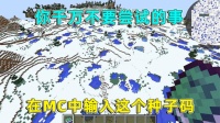我的世界:mc最离谱的种子码,地底藏着“不老泉”,进去就掉血