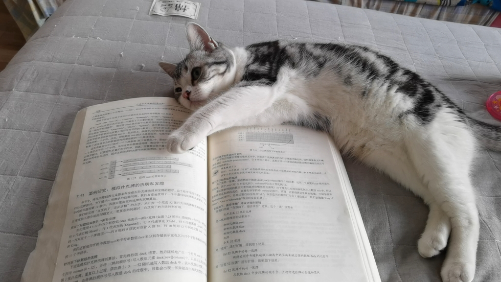 比我更爱c语言的小猫咪