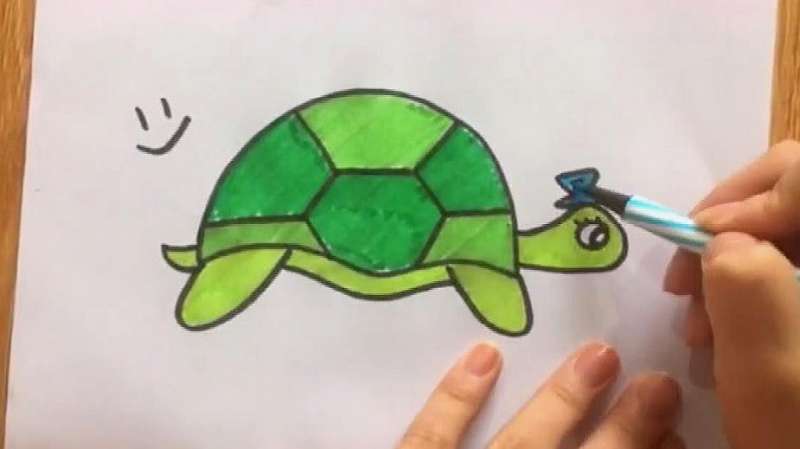 宝宝一看就会画,儿童简笔画上色教学视频大全,小小乌龟真可爱