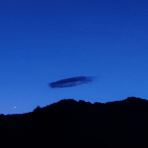 我发誓我要做一只好猫 