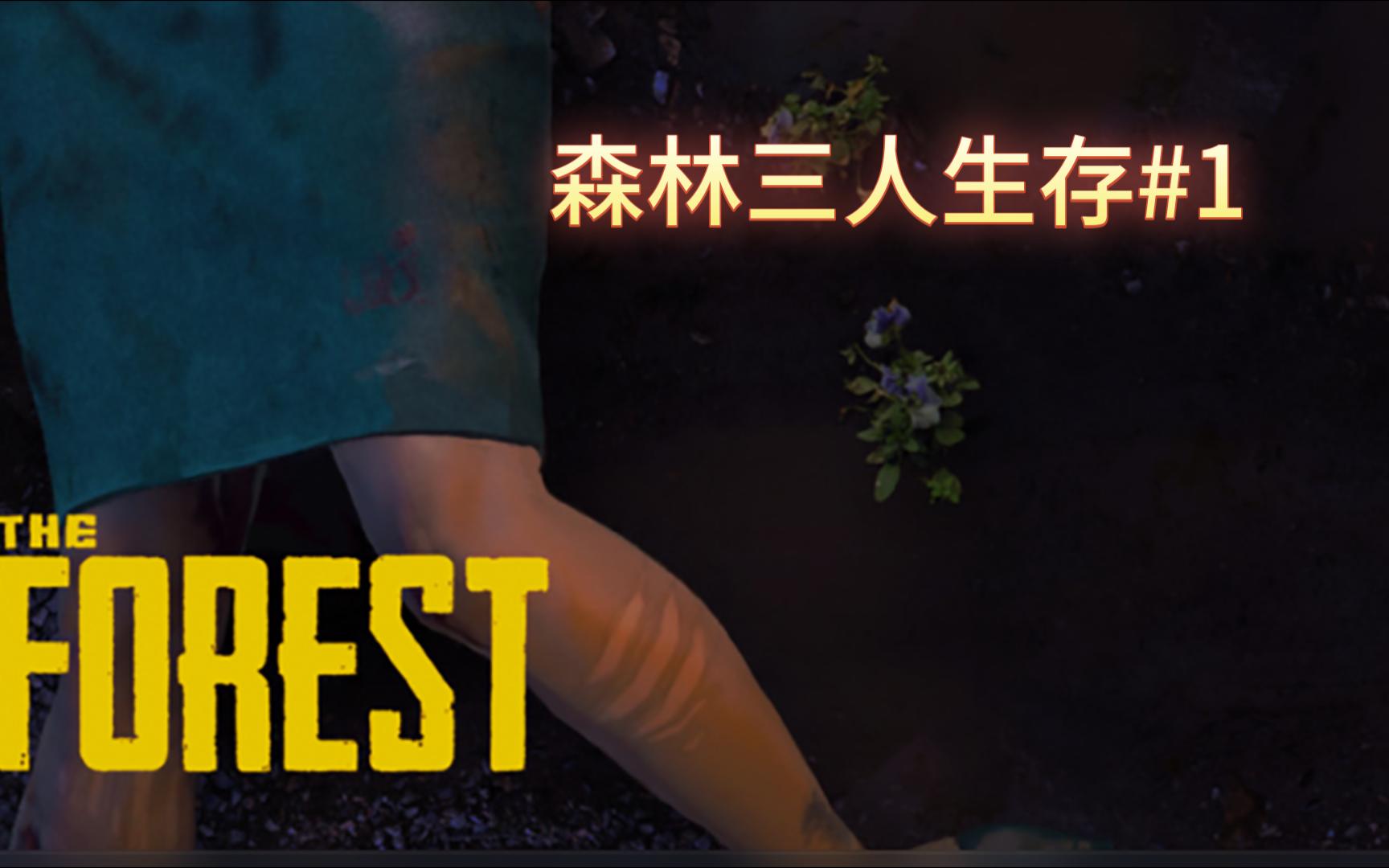 森林?掉帧模拟器