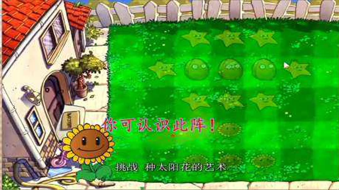 植物大战僵尸EX模式小游戏:种太阳花的艺术