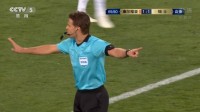 2018世界杯 E组塞尔维亚VS瑞士 【犯规】我壮我也很无奈啊?瑞士...