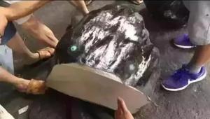 137万的巨型翡翠原石,直接切,一刀下去直接跳起来