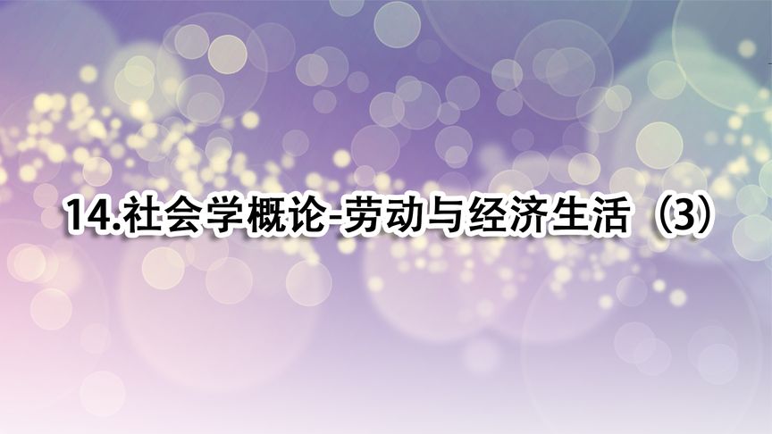 14.社会学概论劳动与经济生活(3)【转载】