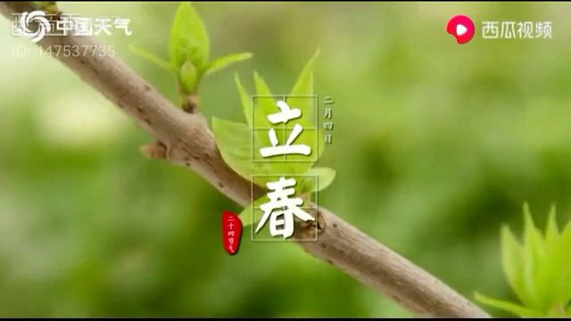 今日立春,别忘了“咬春”,北方朋友吃春饼ߘ�南方朋友吃春卷ߘ