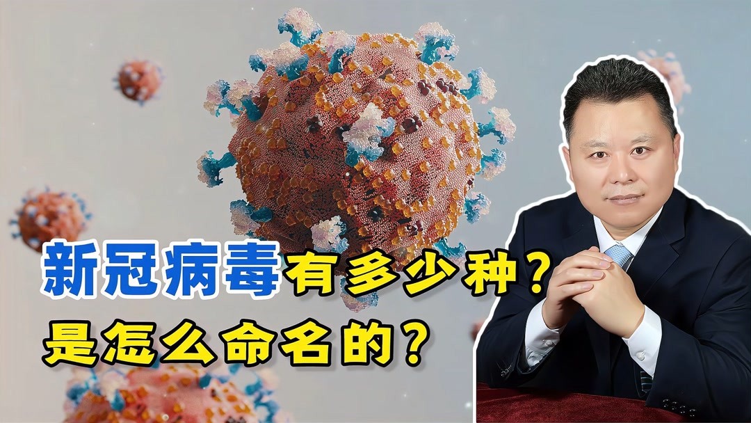 新冠病毒究竟有多少种?是怎么命名的?这个视频全部说清楚了