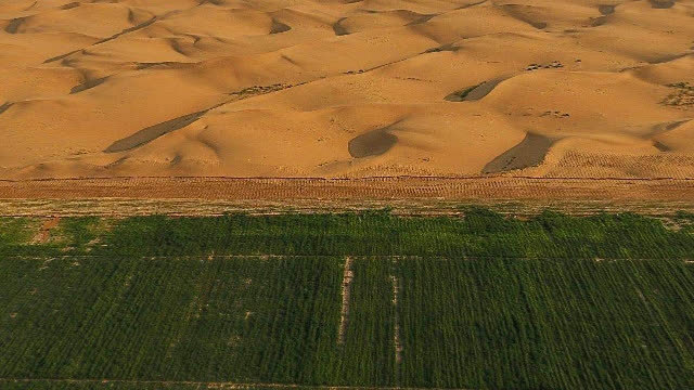 植树造林效果显著,我国让全球变绿,英国:你们是在破坏环境