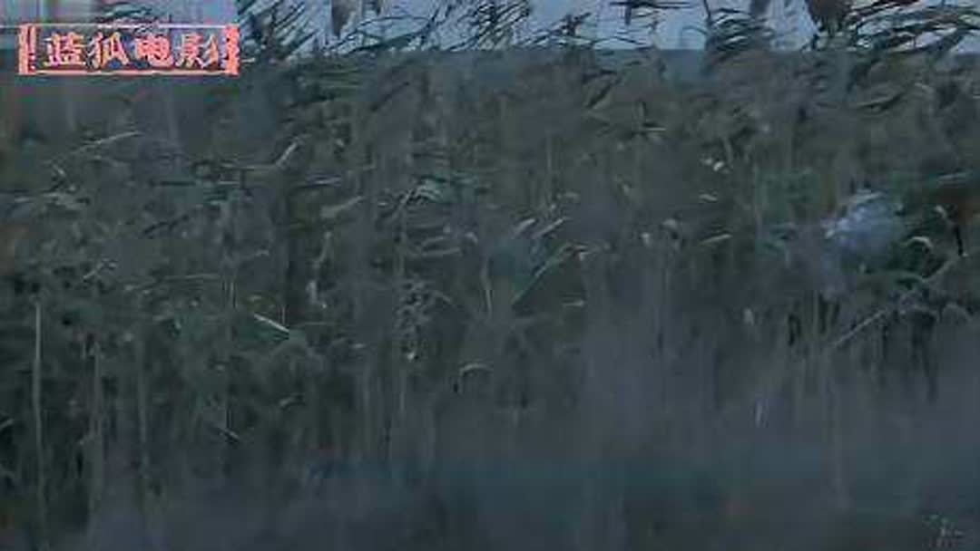 俄罗斯这部超精彩的战争大片,终于被我找到,战争迷一定不可错过