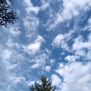 玄易奇门 