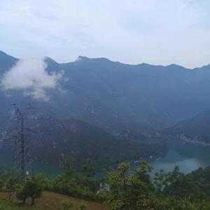 青山绿水9o7z 