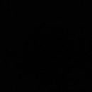 纯白、嘉宝、阿阳的粉丝 