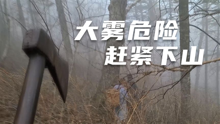 在原始森林遇到下雨又起雾,能见度极低,向导说危险赶紧下山