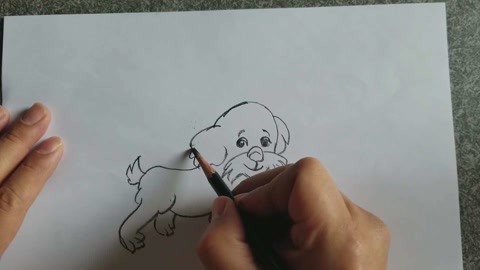 用简笔画的形式画一只小狗,刚开始以为是公狗,画着画着就变了