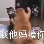 土遁小龙虾 