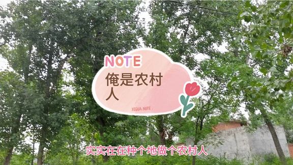 城市套路深,我要回农村,实实在在做个农村人!