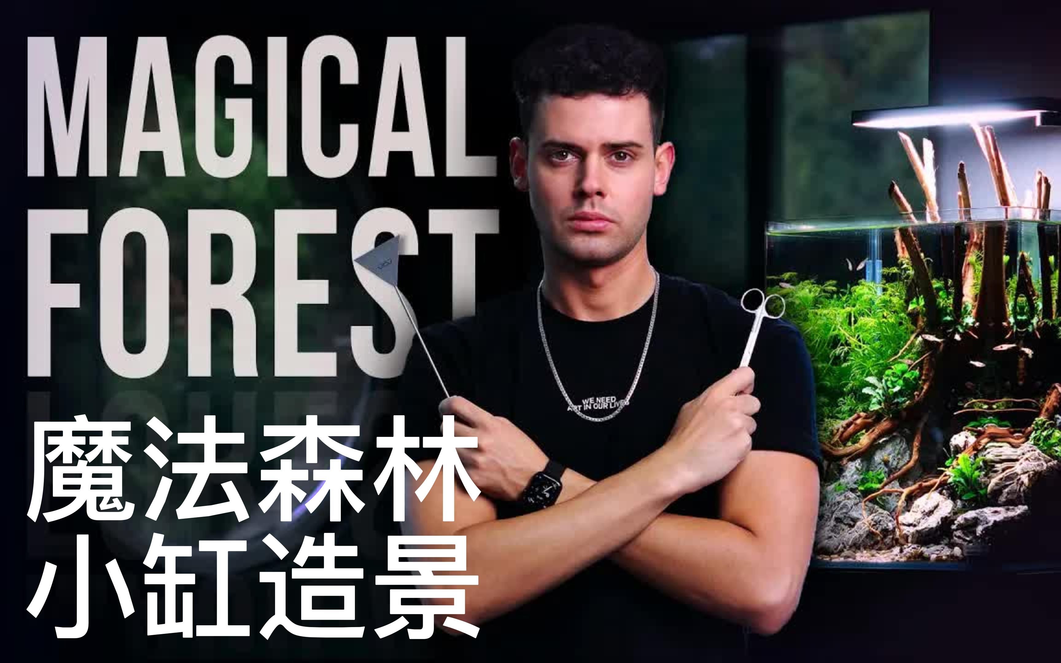 [GreenAqua]小缸造景——魔法森林(原创字幕翻译)