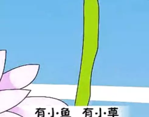 大荷叶小雨伞