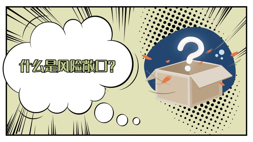 注会CPA会计:什么是风险敞口?