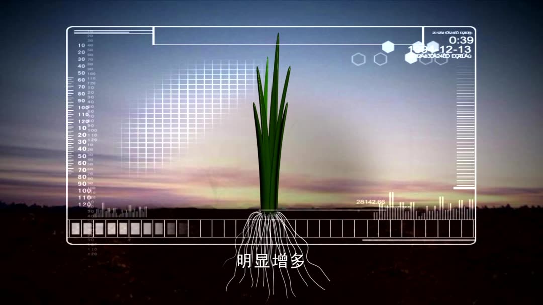 韩稻夫—水稻矮化抗倒增产肥