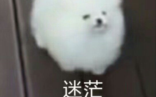 【淡坑包】55r不包橡皮砖及刻章材料
